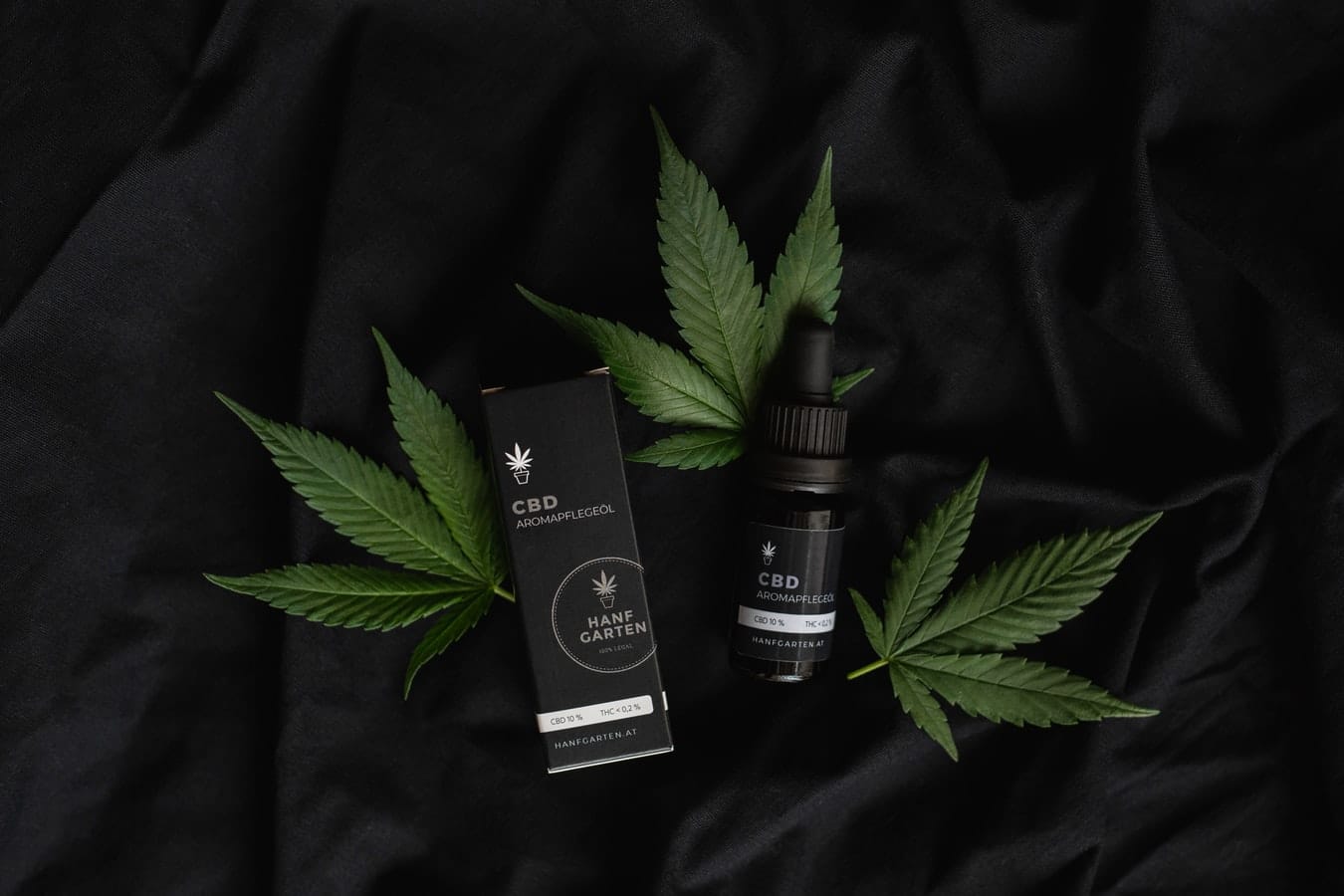 A complete beginner’s guide to CBD Oil - SeedMasters.com
