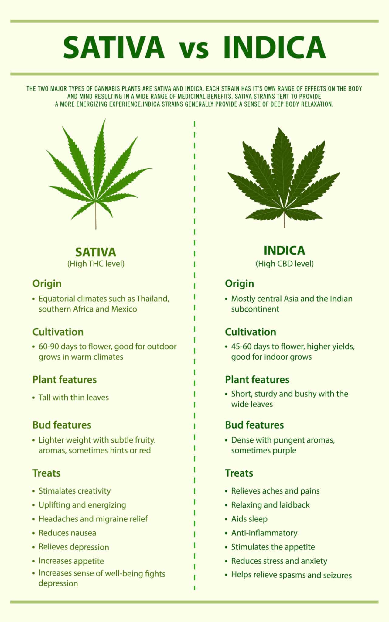 Discover the Joy of Indica vs Sativa: Effects and Uses